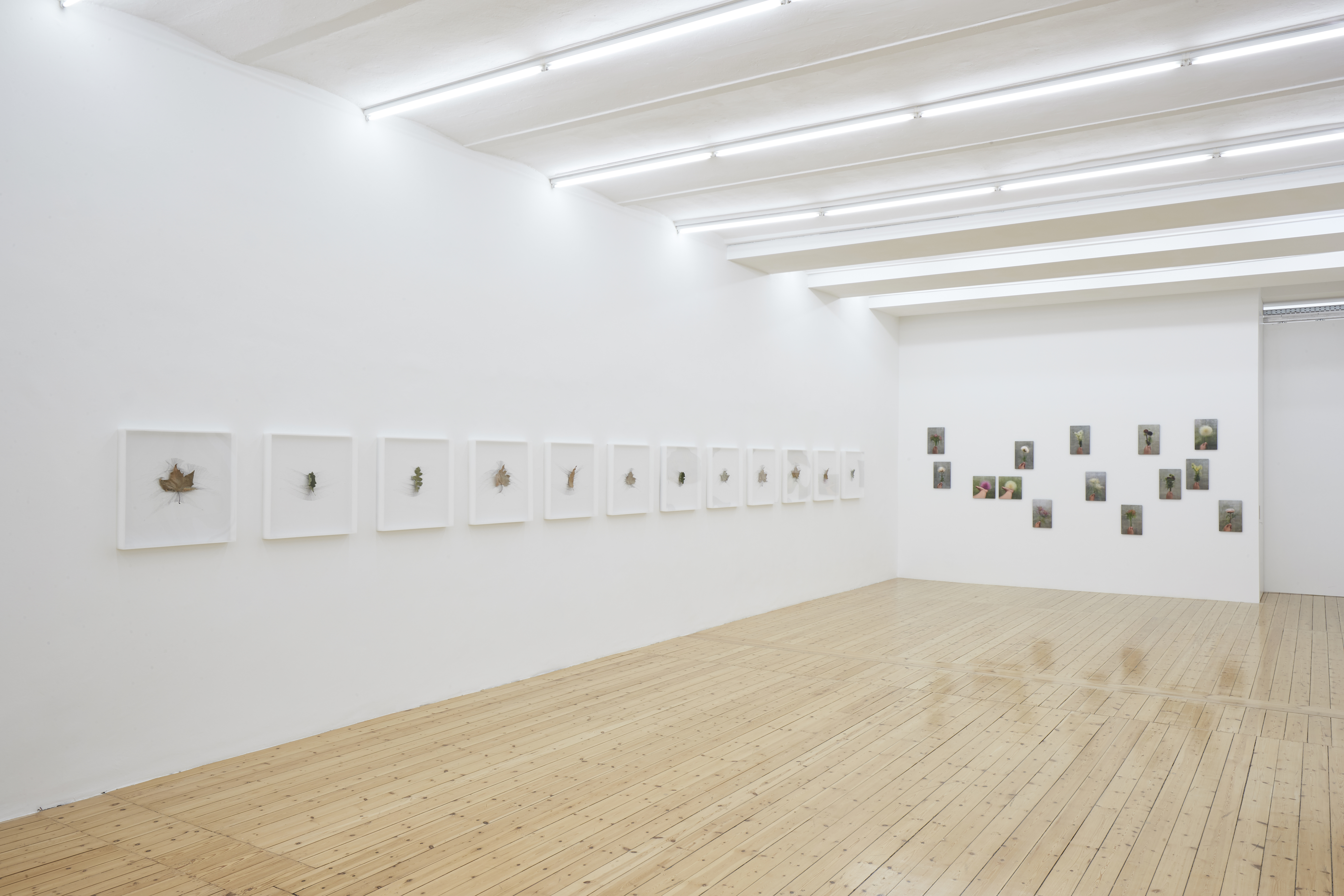 Sfeir-Semler | Galleries | Frieze