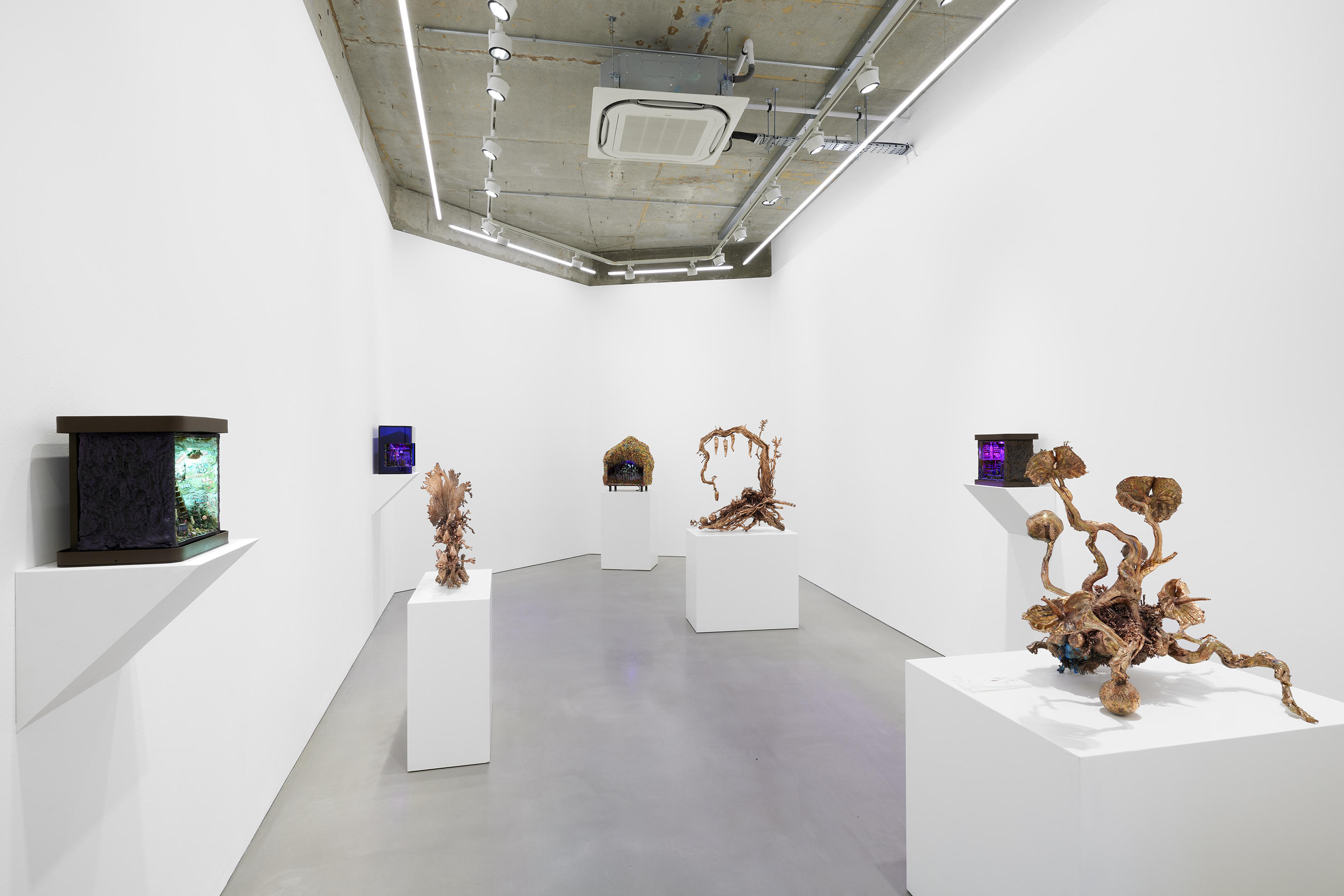 Maureen Paley | Galleries | Frieze