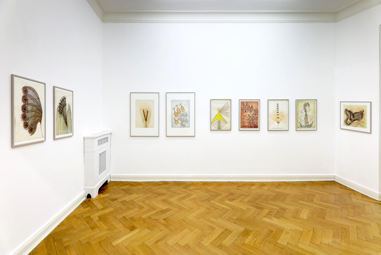 Anna Zemánková | Weiss Berlin | Galleries | Frieze