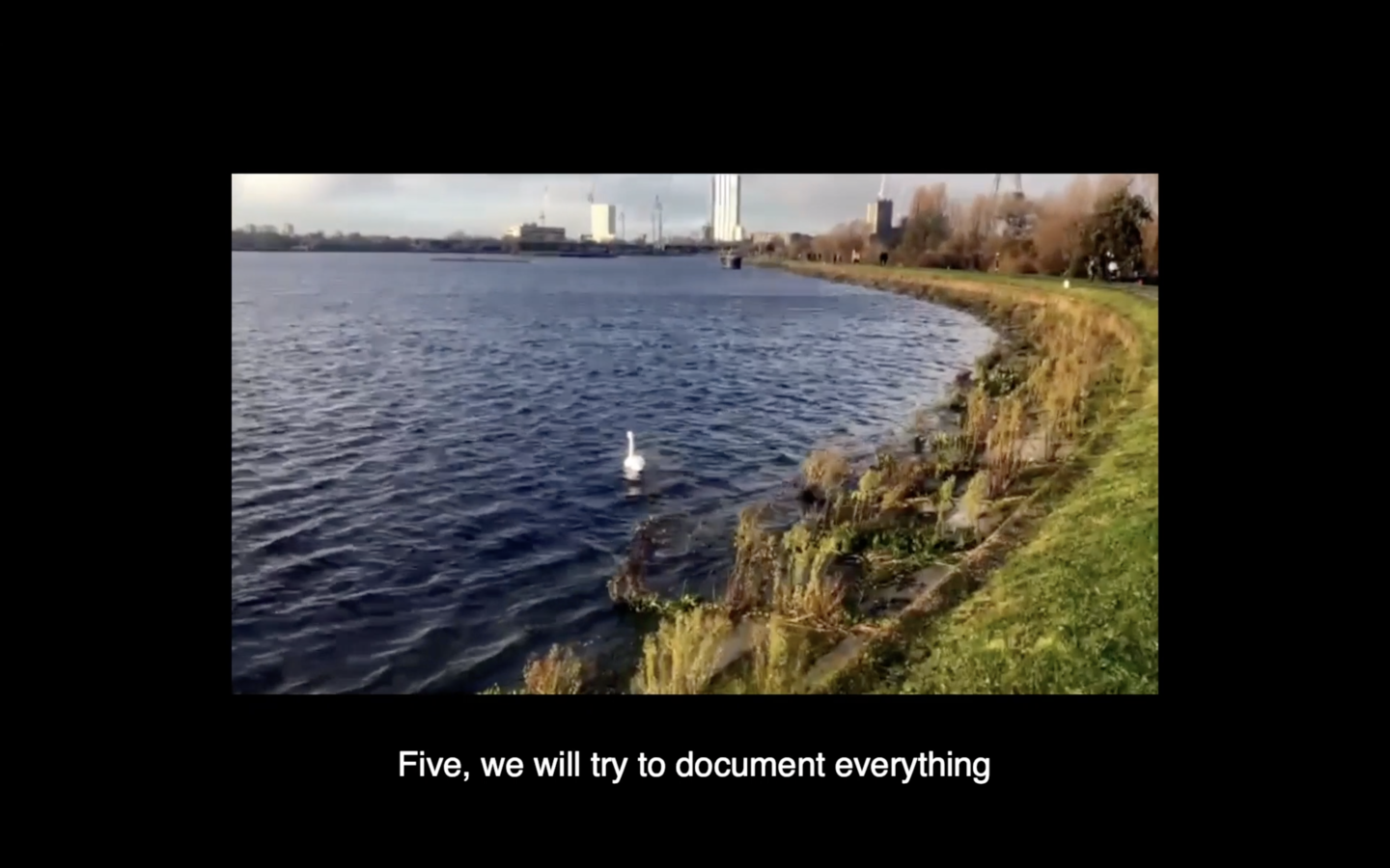 In a World That Makes Us Sick, Bare Minimum Collective Have the ...