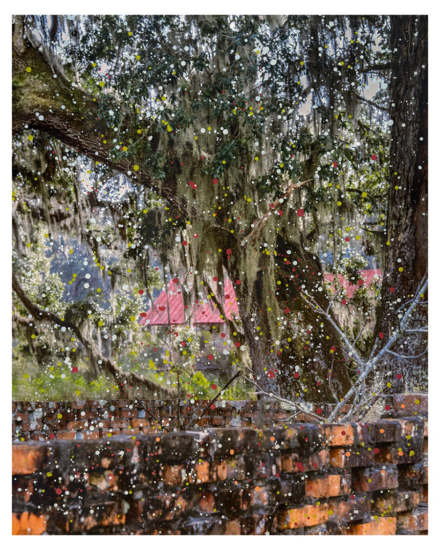 7 Shows to See During Miami Art Week 2025 | Frieze