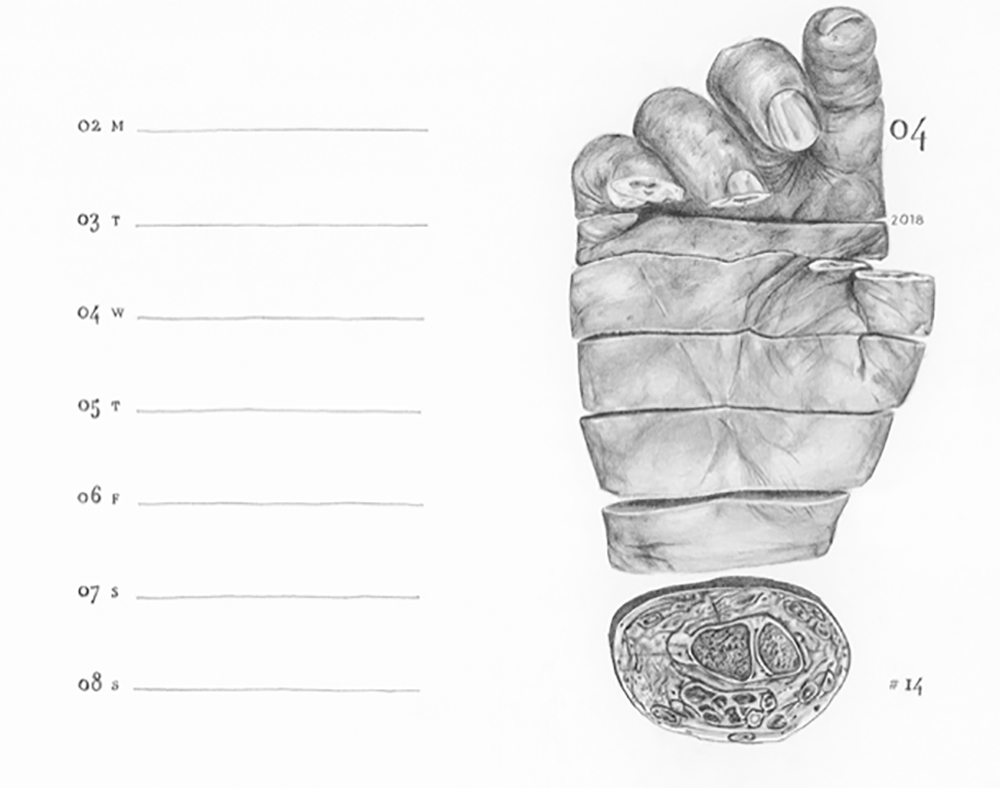 Private View: Maya Attoun – The Charms of Frankenstein | | Galleries ...