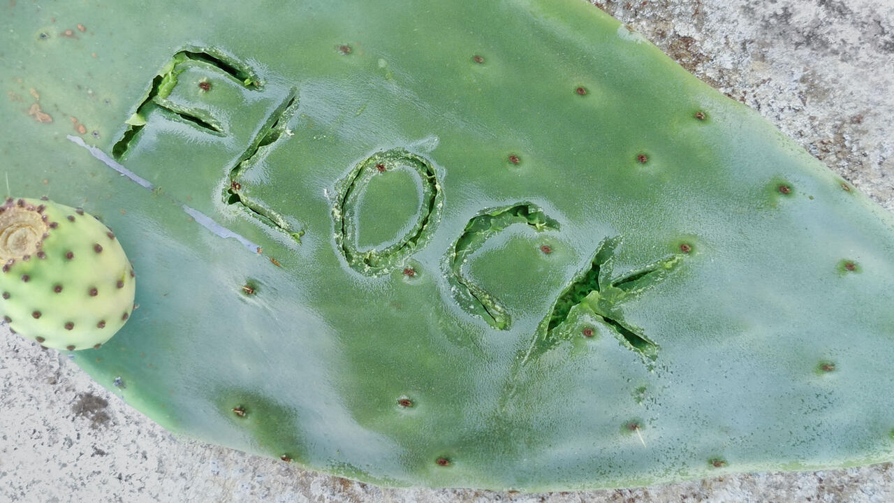 Elisa Giardina Papa Flock | She Preferred the Lineage of Goats and ...