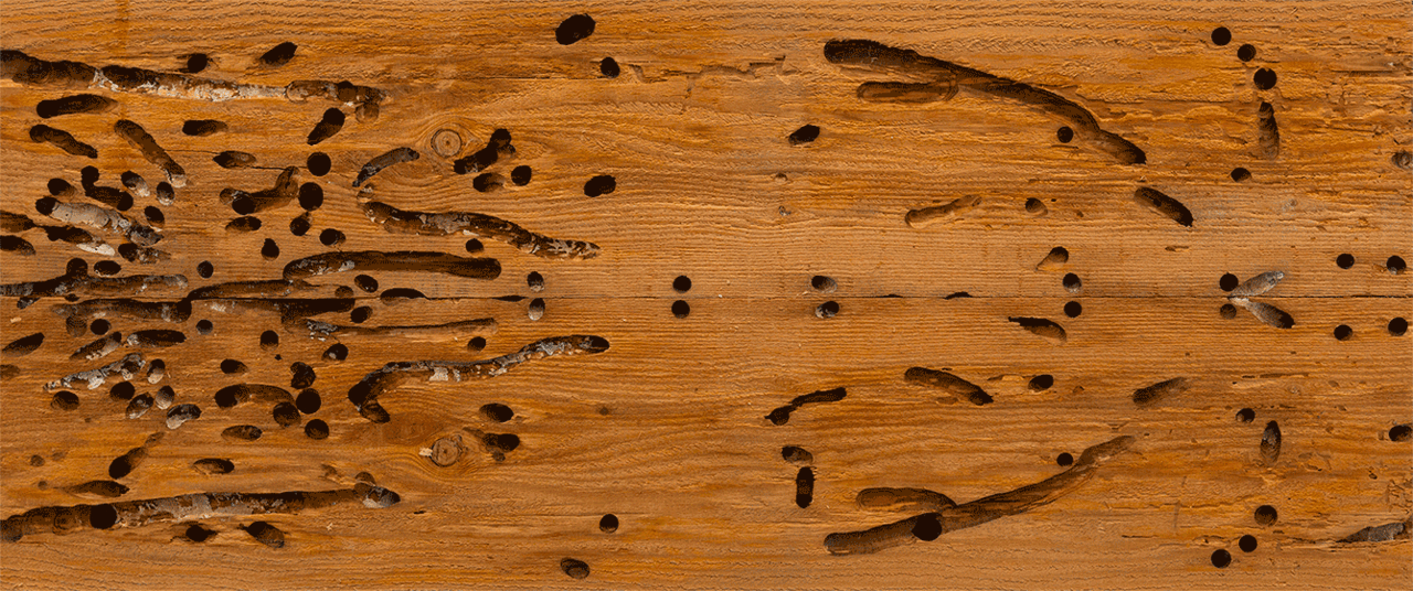 Flint Jamison - Installation View | Miguel Abreu Gallery | Galleries | Frieze