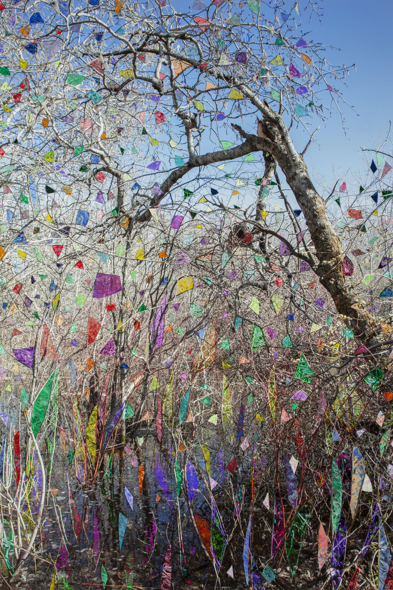 Woodland | Sarah Anne Johnson | Stephen Bulger Gallery | Galleries | Frieze