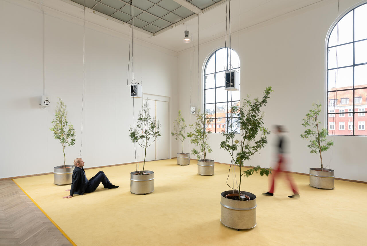 HARa!!!!!!hAaaRAAAAA!!!!!hHAaA!!! | Kunsthal Charlottenborg | Galleries ...