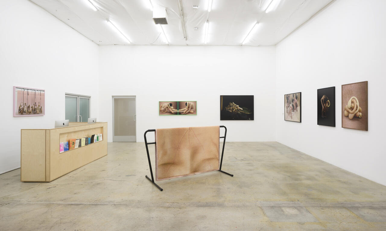 Heather Rasmussen | The Pit | Galleries | Frieze