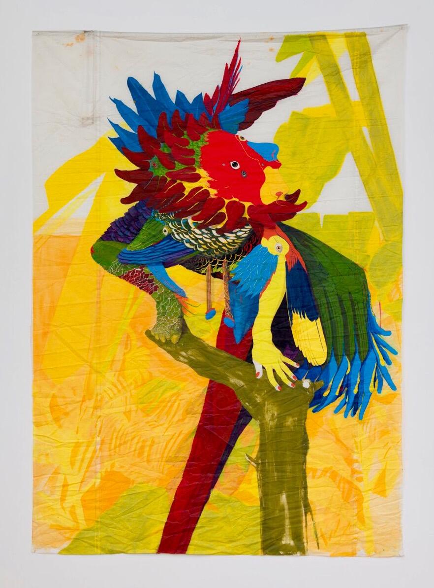 Yaron Michael Hakim: Psittaciformes | Grand Central Art Center ...