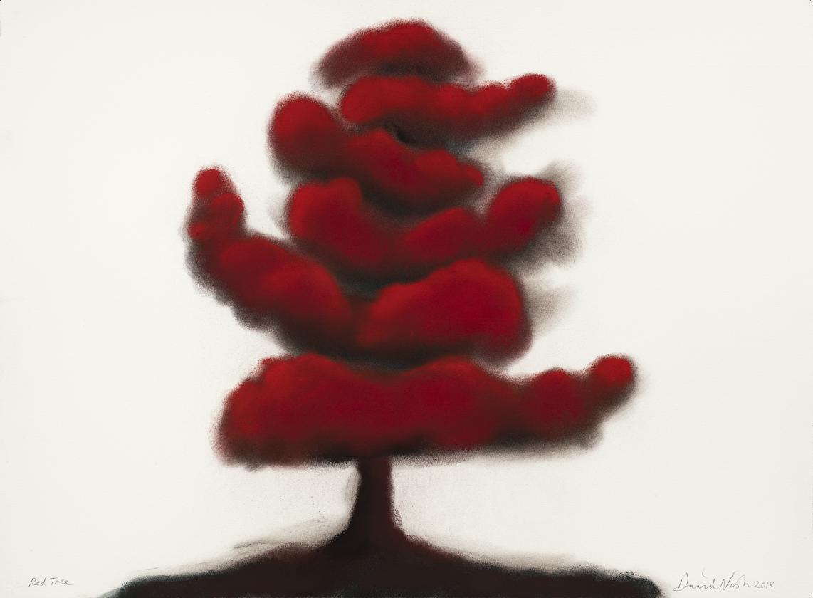 'David Nash - Trees' | Galerie Lelong | Galleries | Frieze
