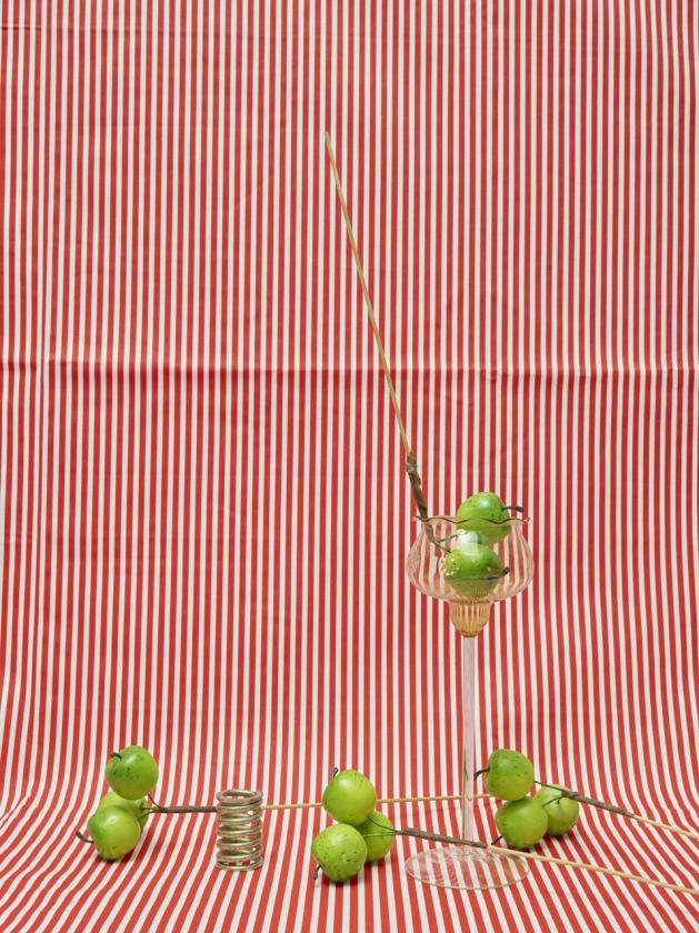 Annette Kelm | Gió Marconi | Galleries | Frieze