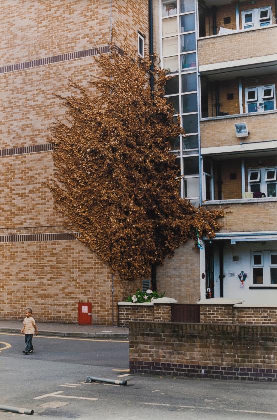 Image Profile. Aspects of the Documentary in the MMK's Photography ...