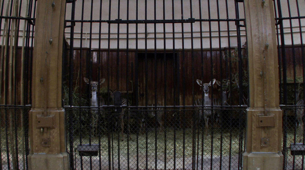 Reflection | Misa Shin Gallery | Galleries | Frieze