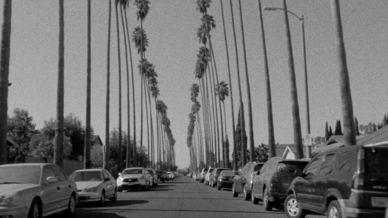 ‘Plan LMNOP’ - Halima Lucas | Frieze