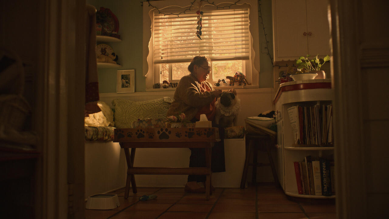 ‘Plan LMNOP’ - Halima Lucas | Frieze