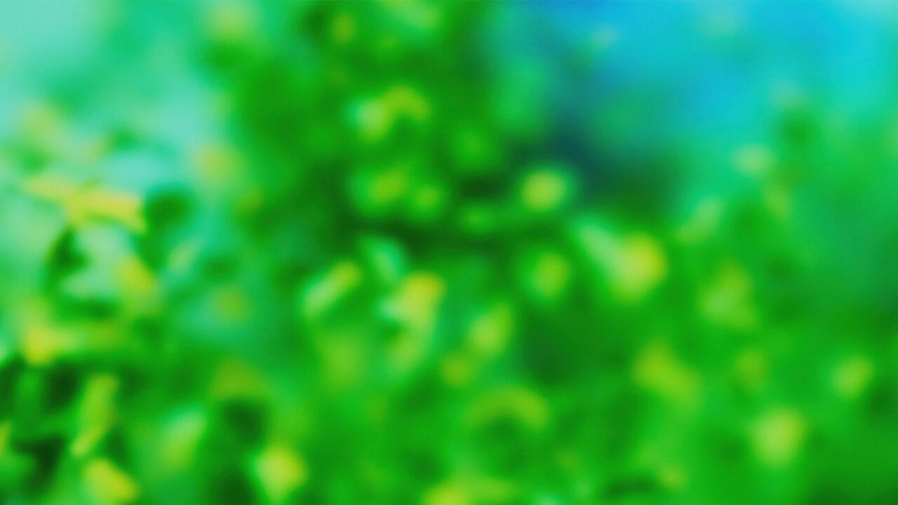 Frieze Viewing Room | Frieze