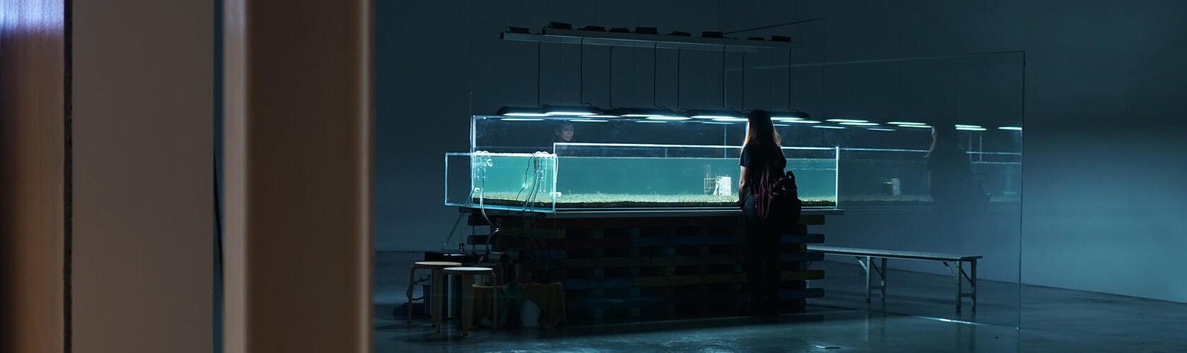Pratchaya Phinthong Transforms the Gallery into an Aquarium | Frieze